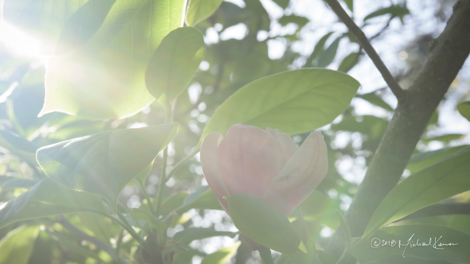 Living the Unplanned Life – kerner creative